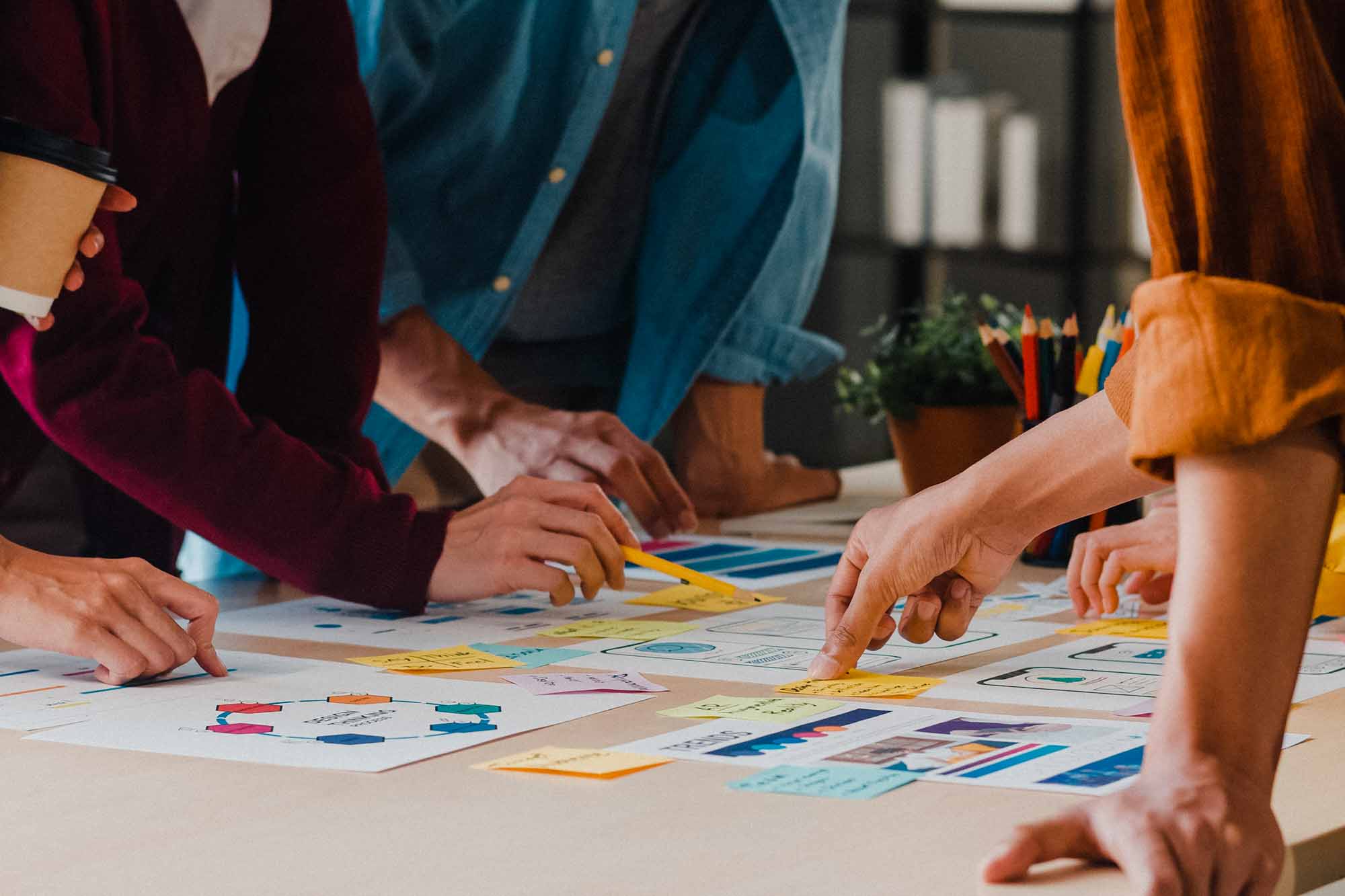 Aiku - Roadmap Program